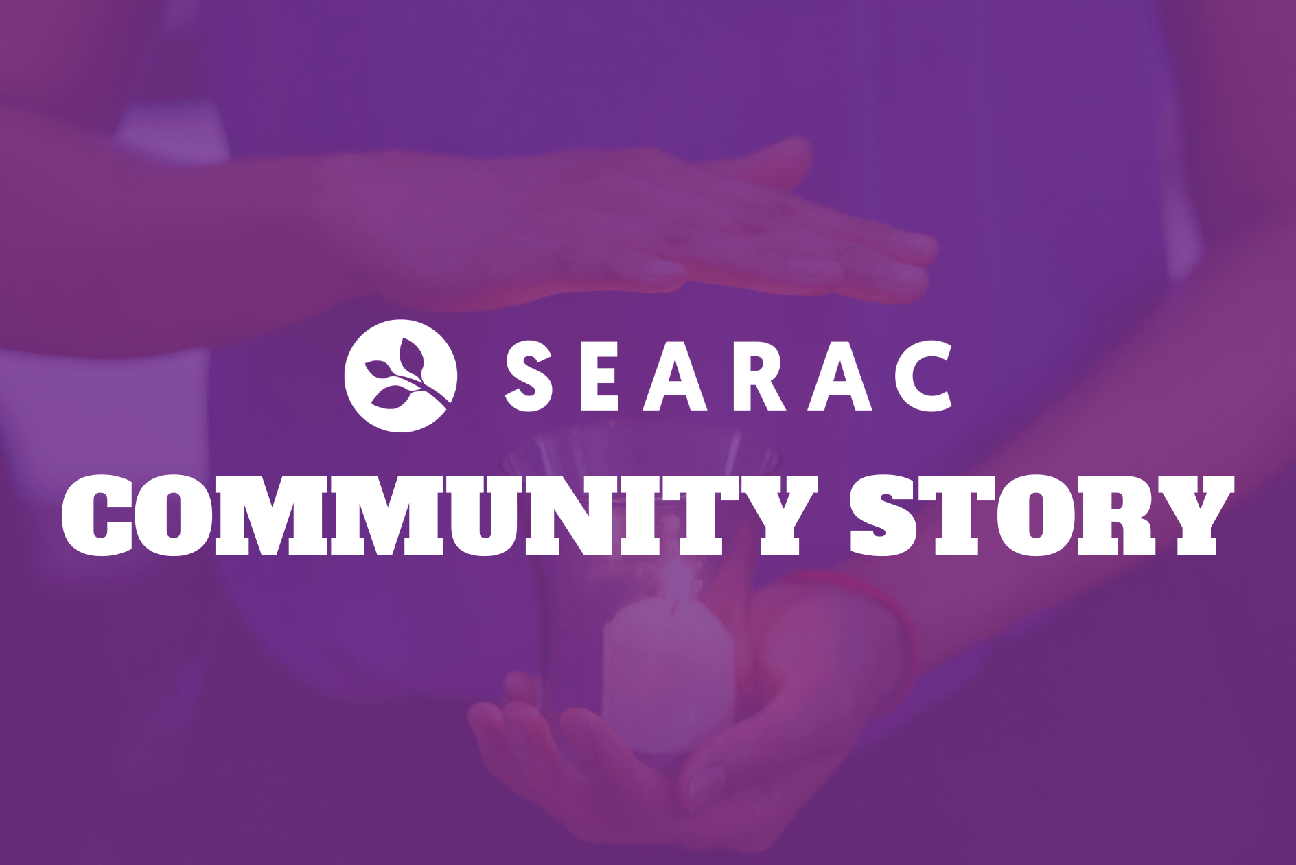 Meet our Equity Summit Advisory Council - SEARAC